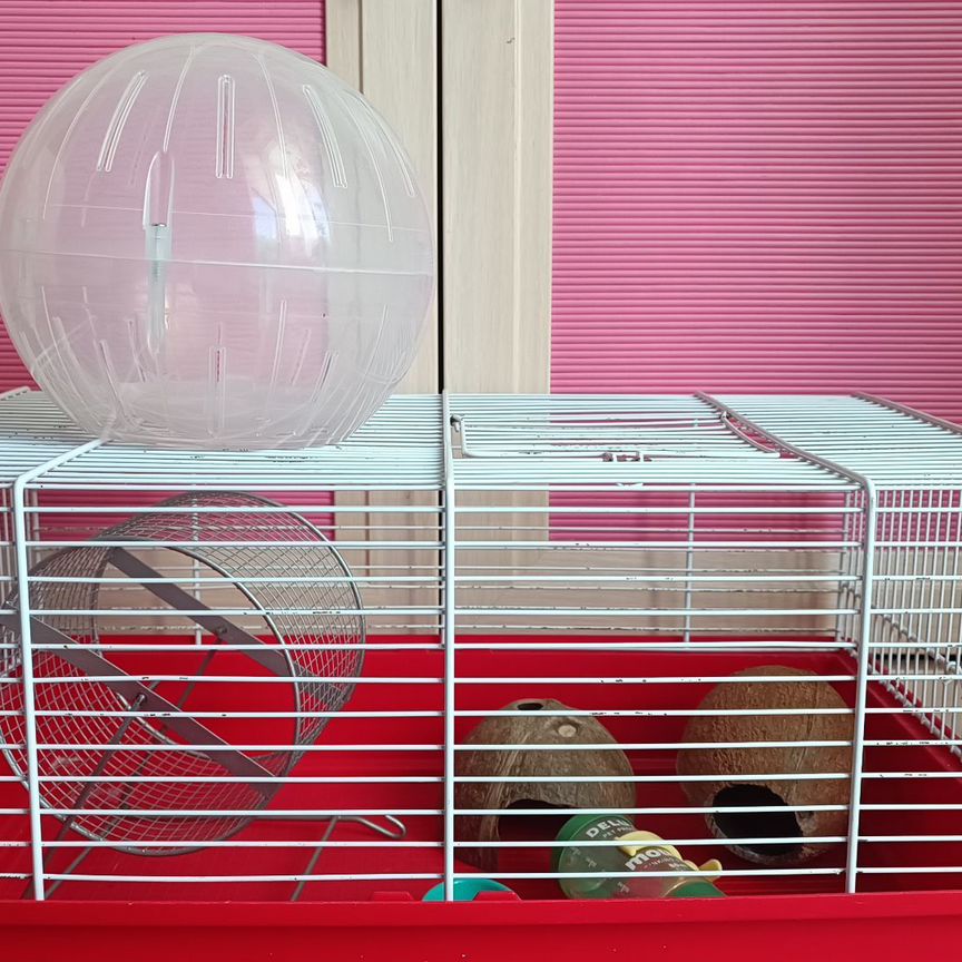 Клетка для грызунов бу