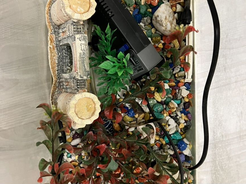 Аквариум с наполнением