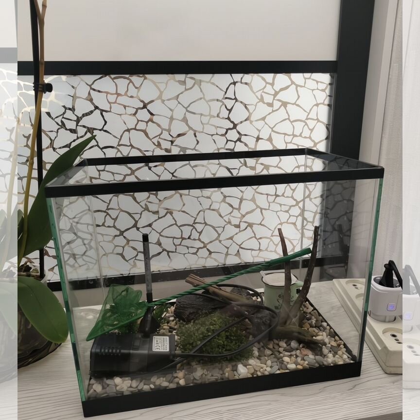 Аквариум для рыбки