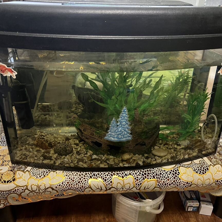 В дар аквариум для рыбок 63,5-19,5см высота 36 см