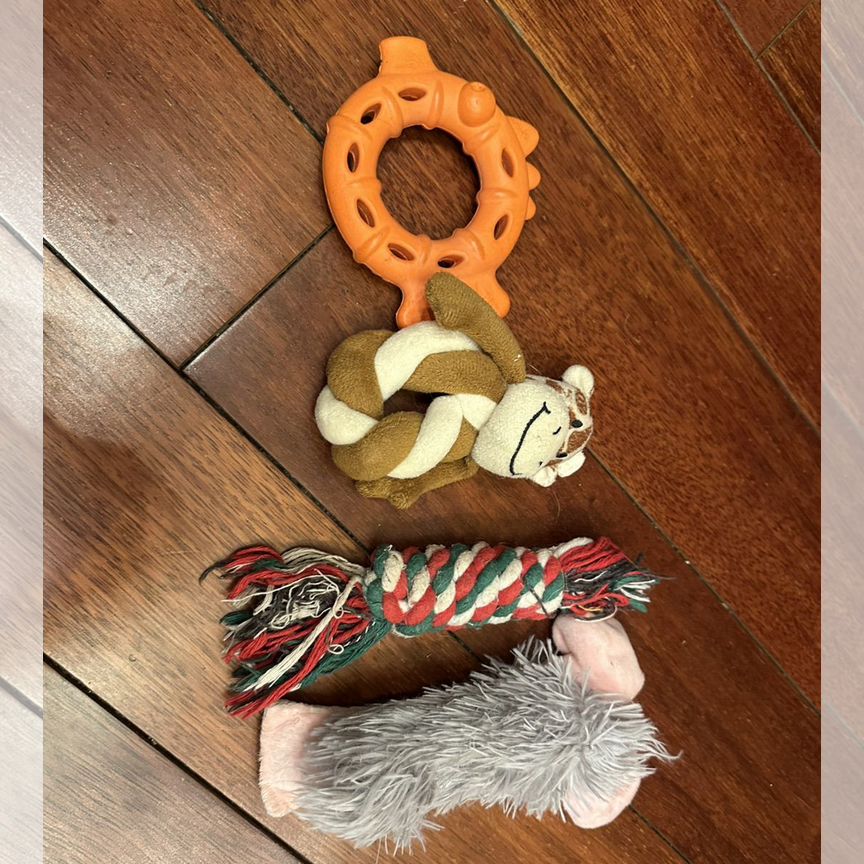 Ирушки доя собак мелких пород