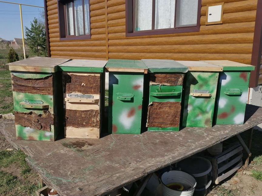 Ловушка для пчел