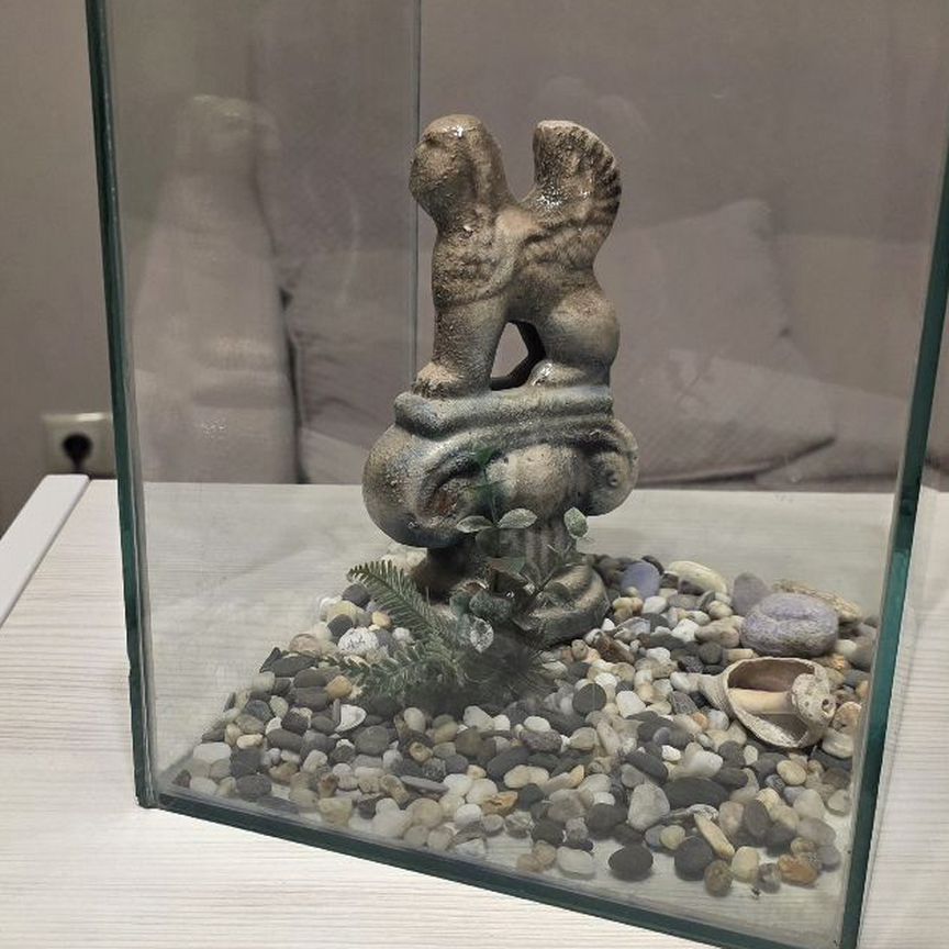 Аквариум 10 литров