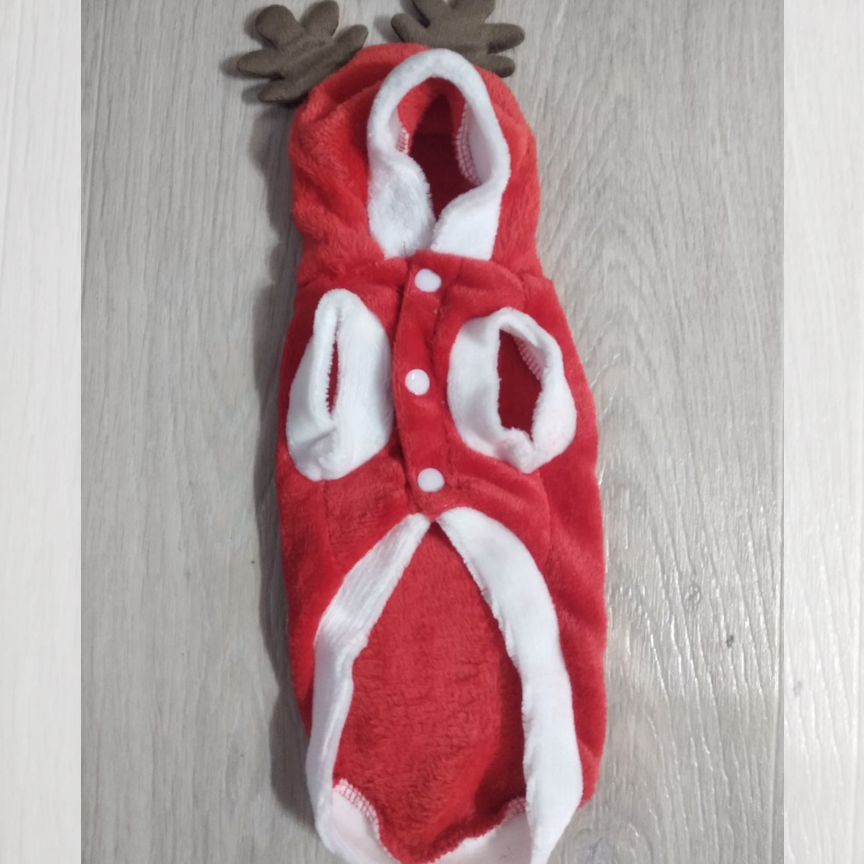 Одежда для собак