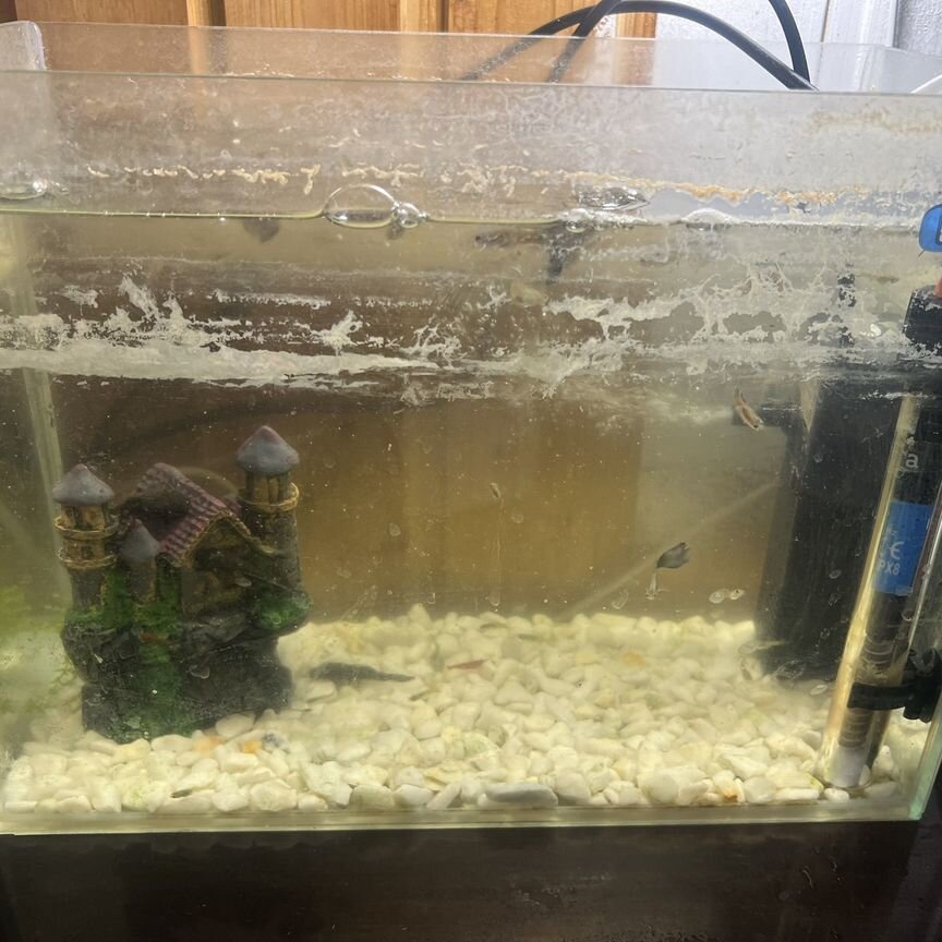 Аквариум с рыбками 15 литров