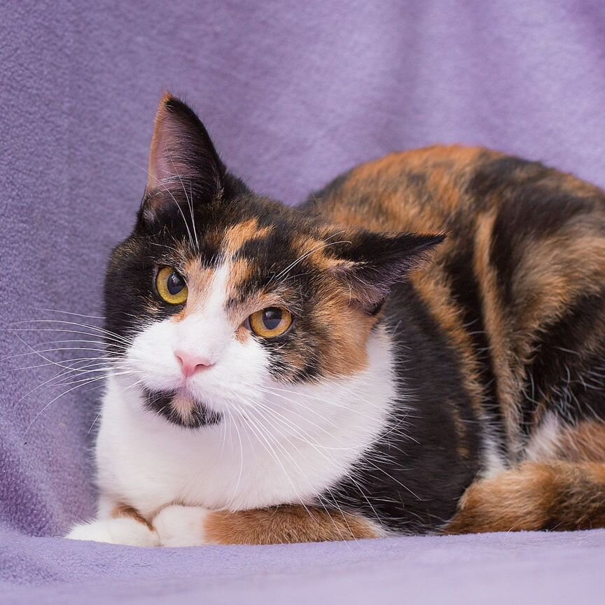 Тришу никто не замечает