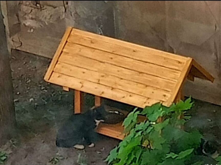 Уличная кормушка для кошки собаки