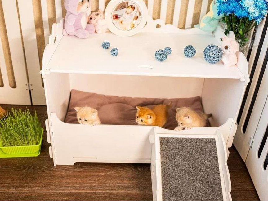 Родильный дом