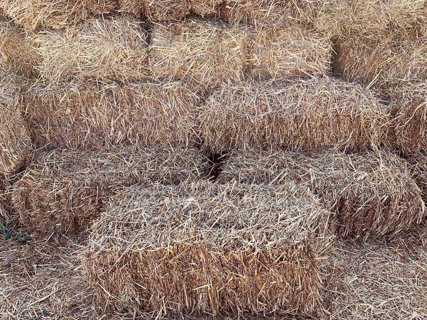 Солома в тюках