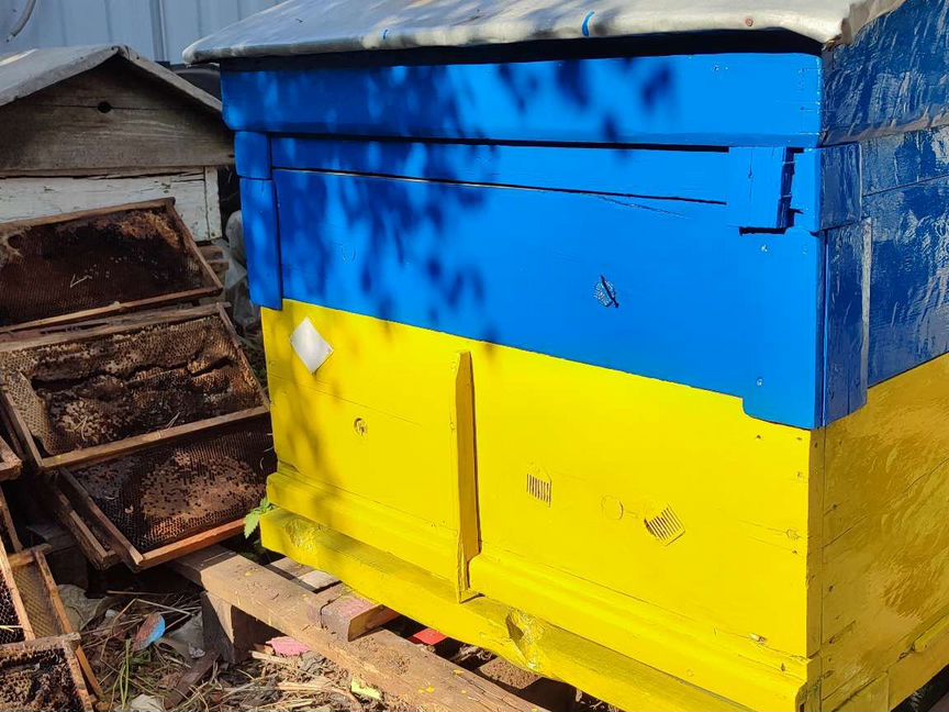 Улей лежак рутта бу