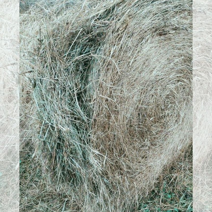 Сено в тюках