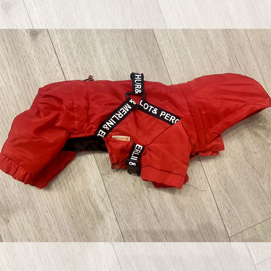 Одежда для собак мелких пород