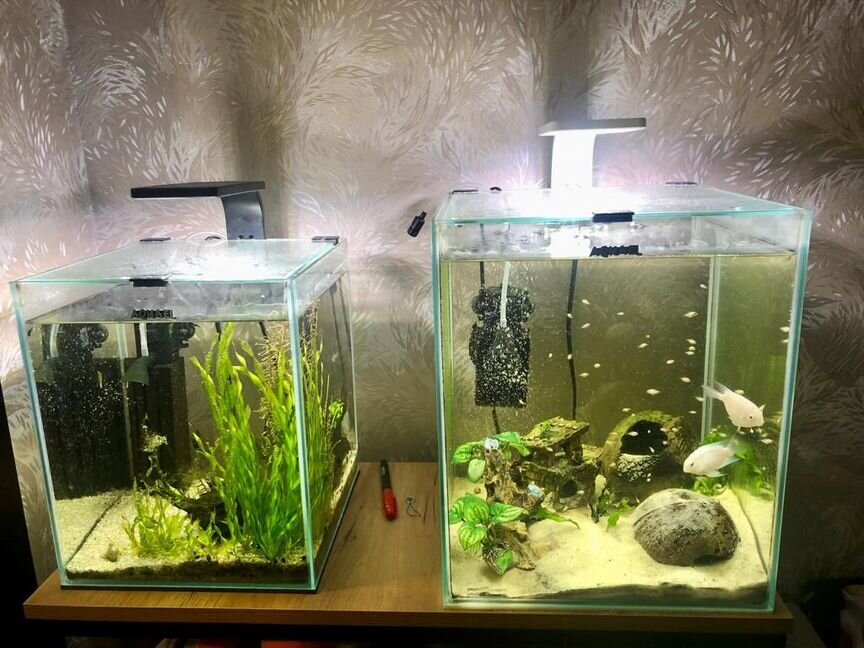 Аквариум акваэль 30 литров, 20 литров