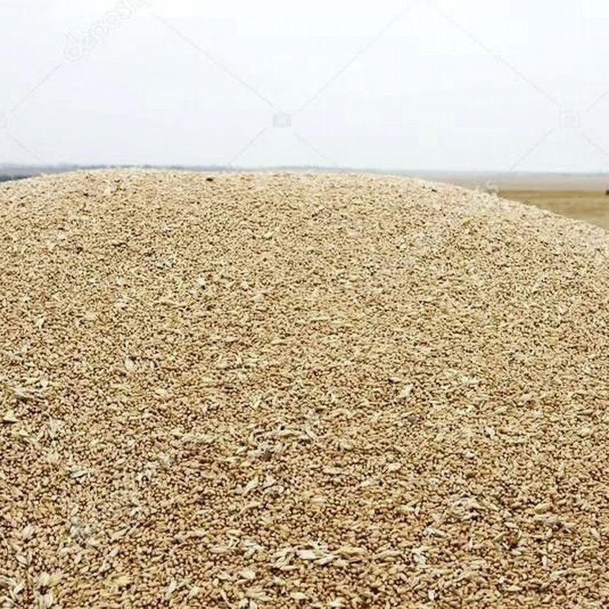 Пшеница дробленая