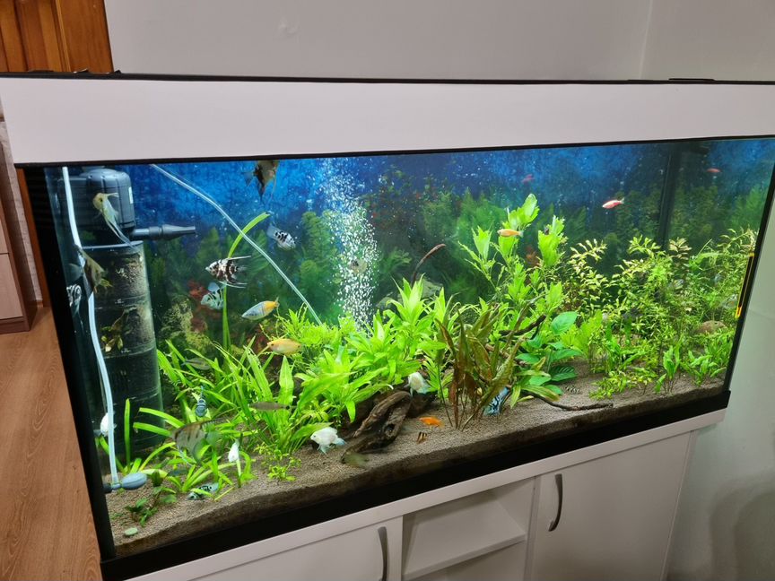 Аквариум с тумбой и рыбками