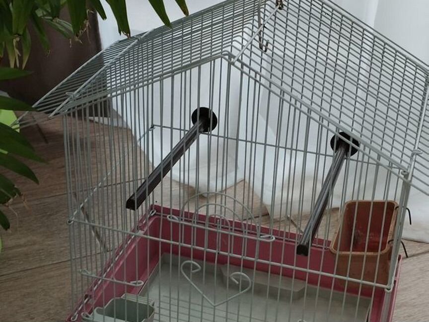 Клетка для попугая в дар