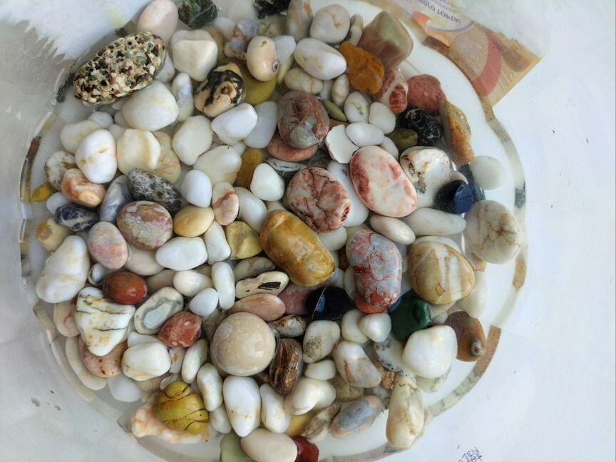 Галька, раковины морские флорариум аквариум декор