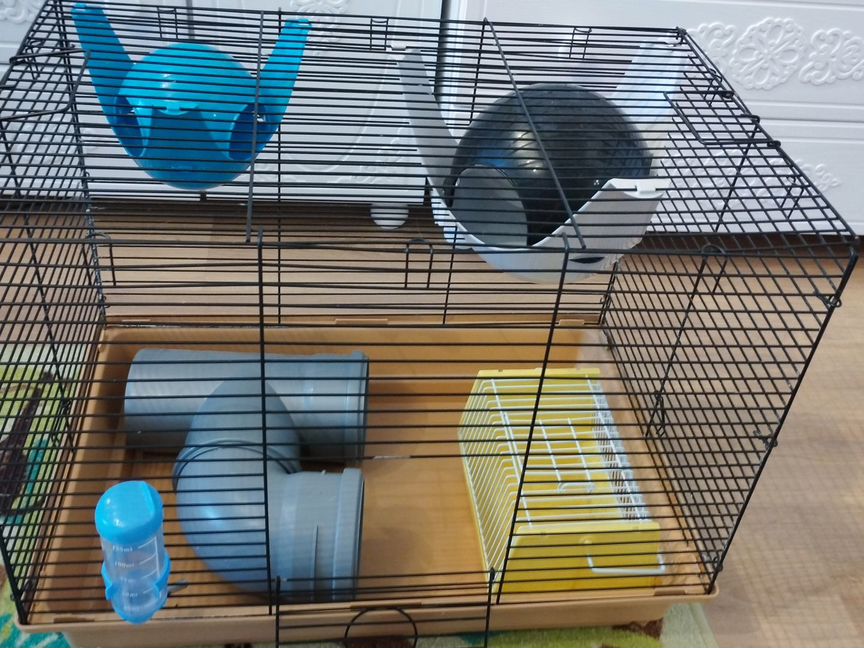 Большая клетка для крыс