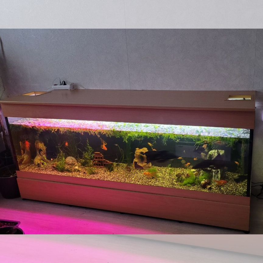 Продам аквариум