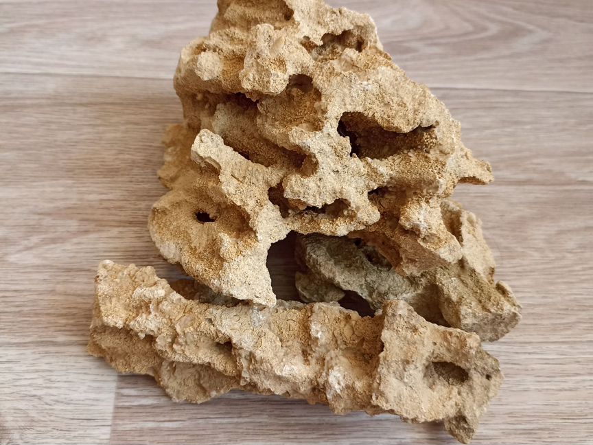 Набор камней Песчаник пещеристый