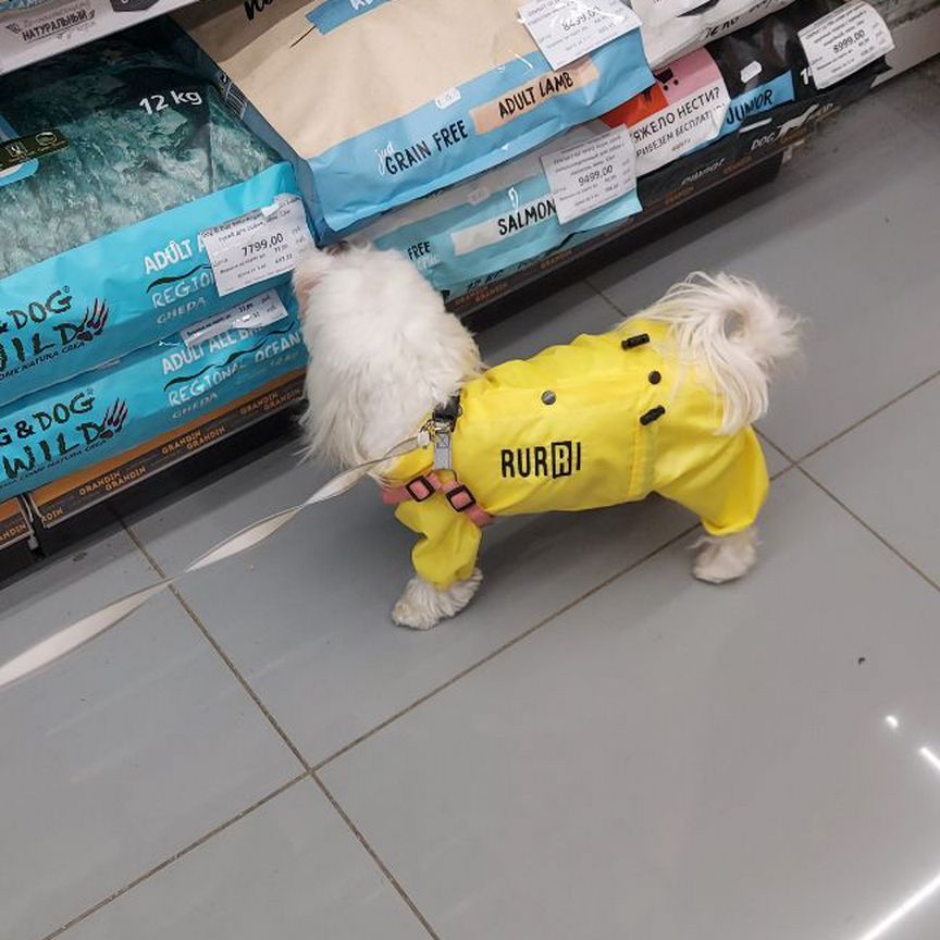 Комбинезон на маленькую собачку