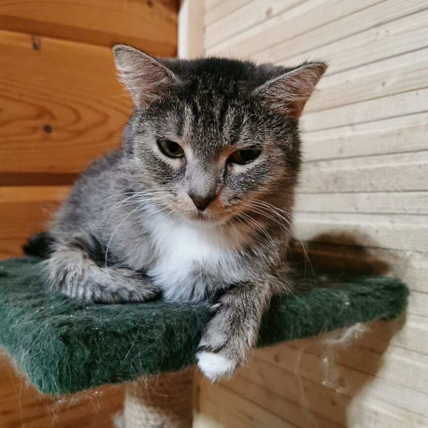 Смиренно ждёт когда за ней придут