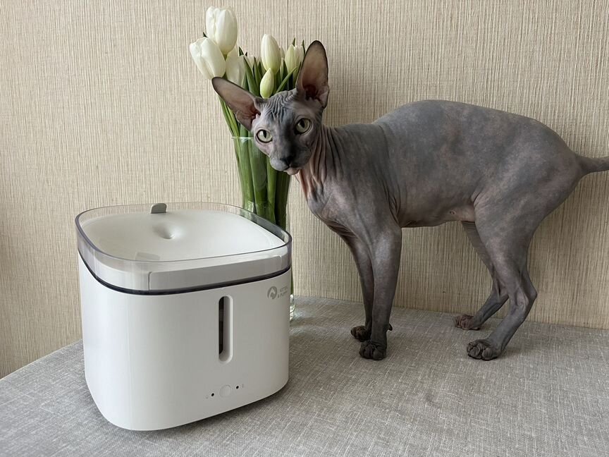 Автопоилка Xiaomi Kitten&Puppy
