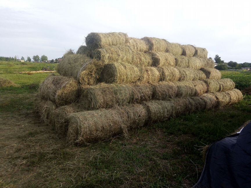 Сено в мини рулонах