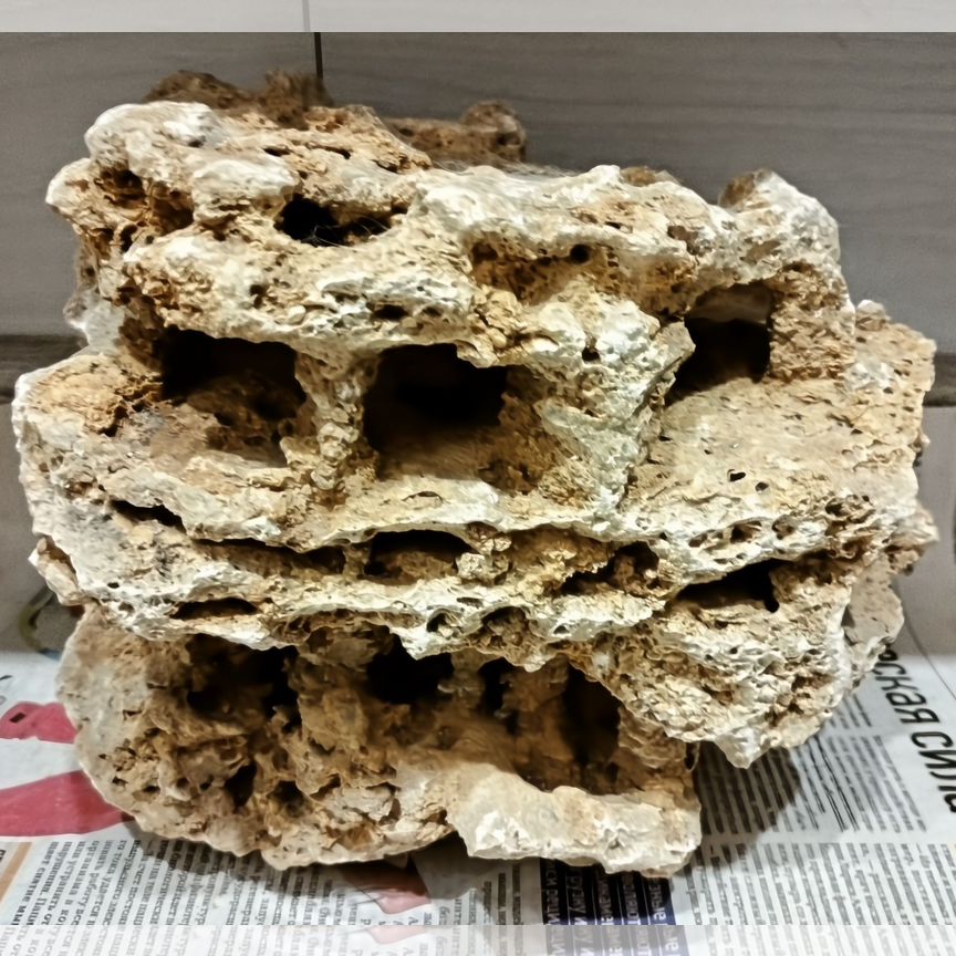 Песчаник в аквариум