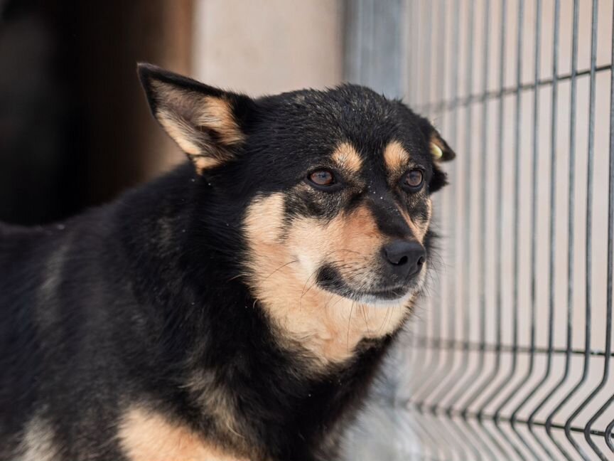 Зита и Гита