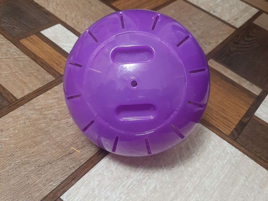 Шар для хомяк