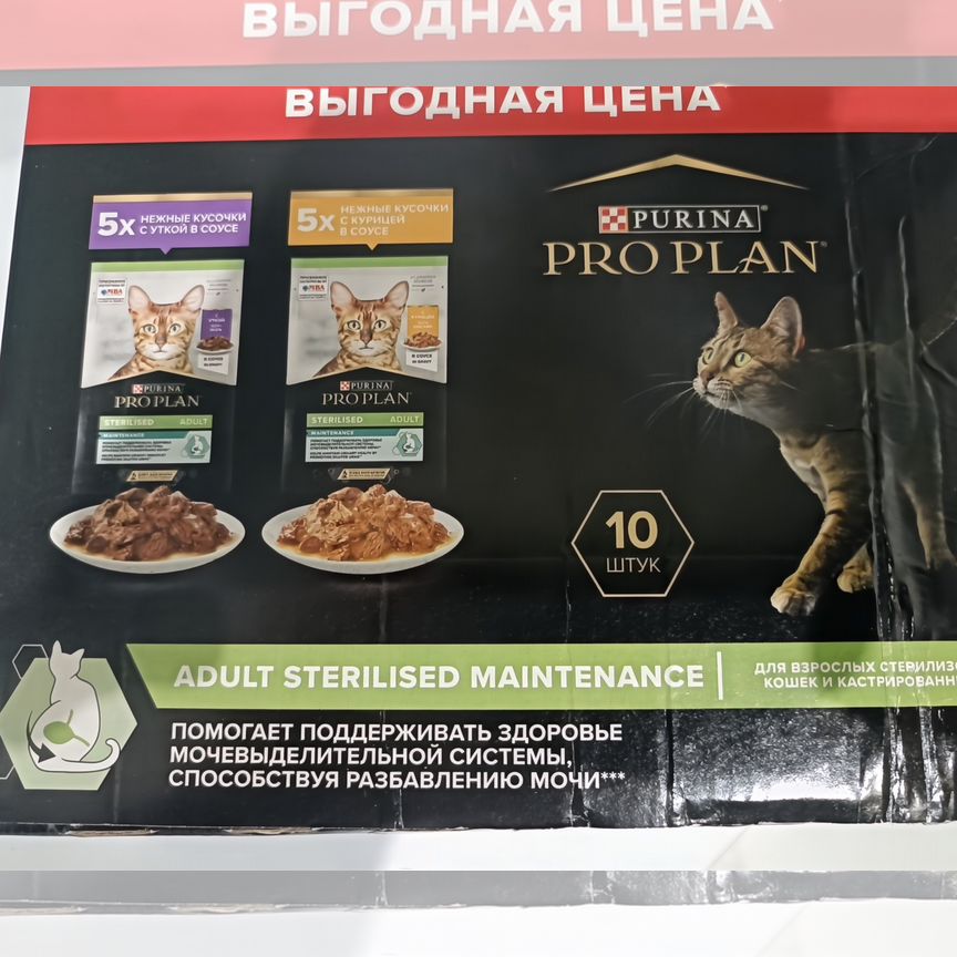 Корм для кошек