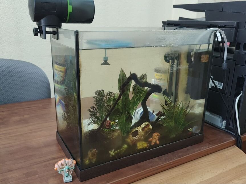 Аквариум с рыбками и вспомогательной техникой