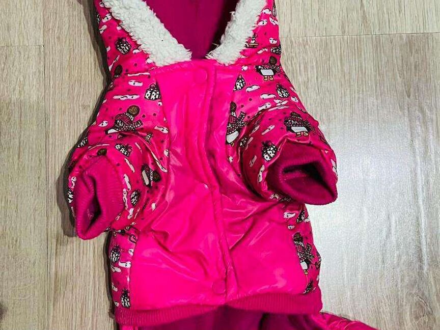 Комбинезон для йорка