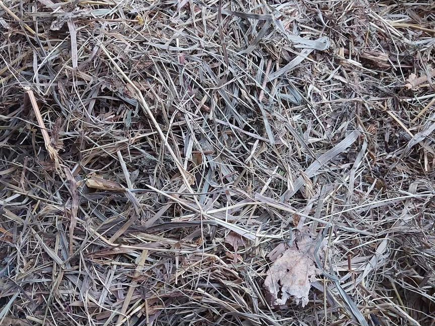 Сено в мешках