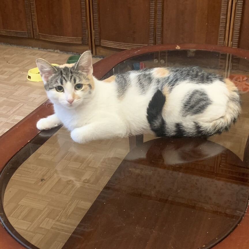 Карамелька