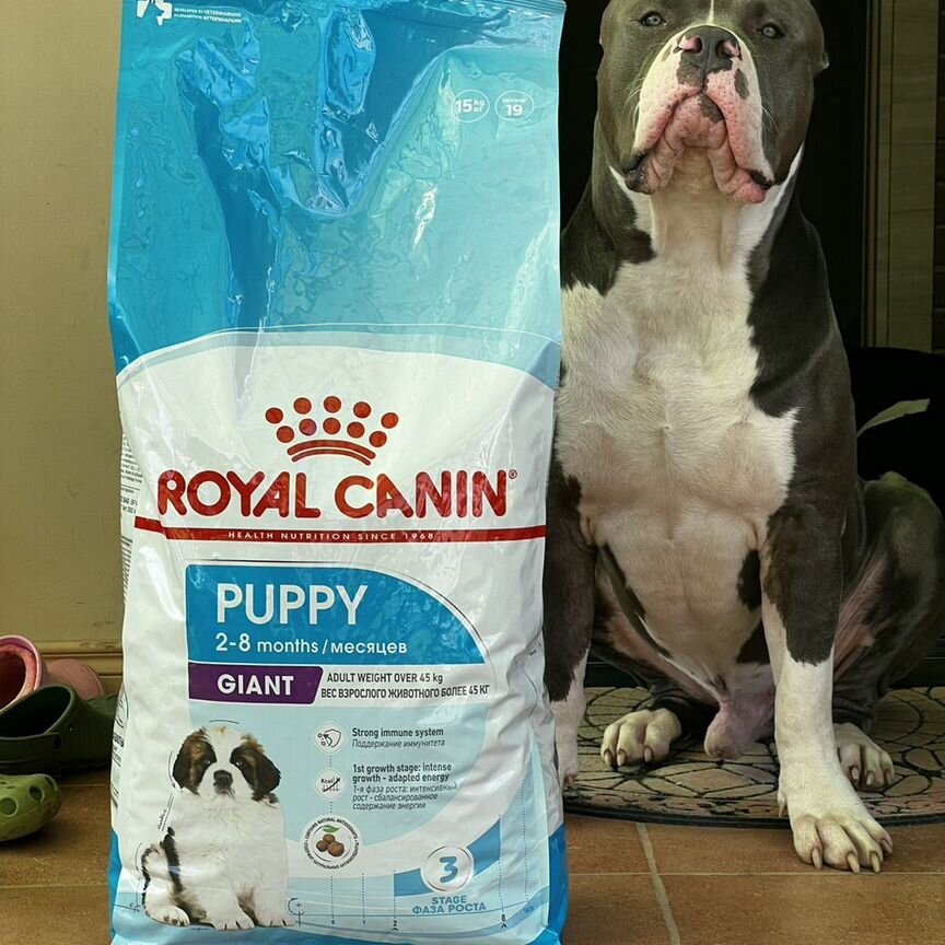 Корм для собак royal canin giant puppy 15 кг