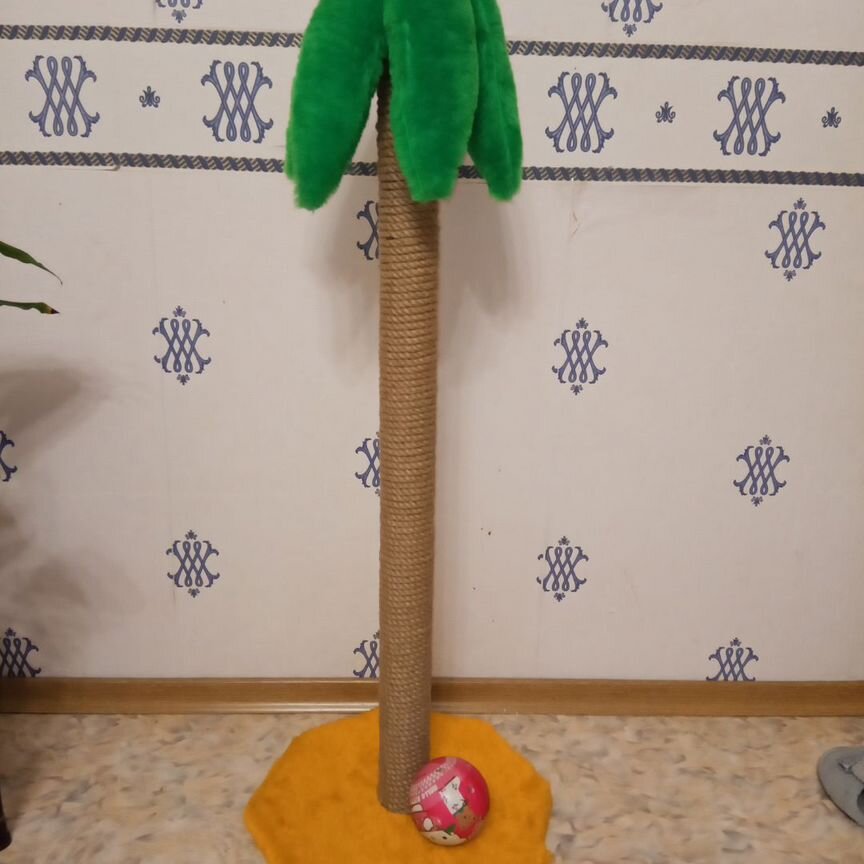 Когтеточка и другое