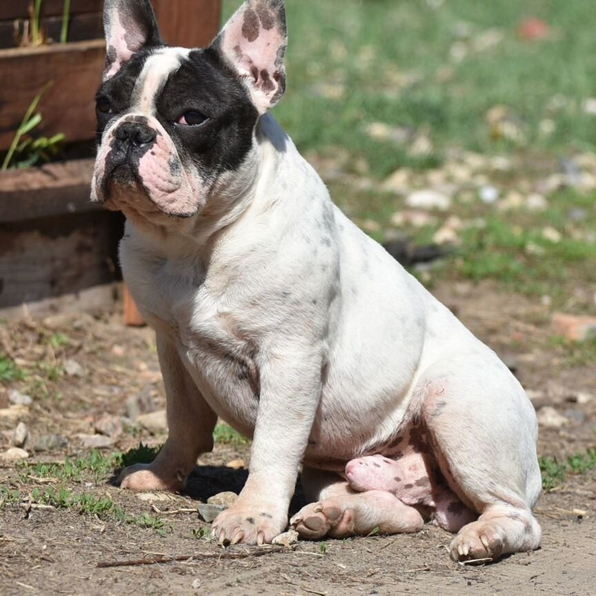 Мальчик Тёма