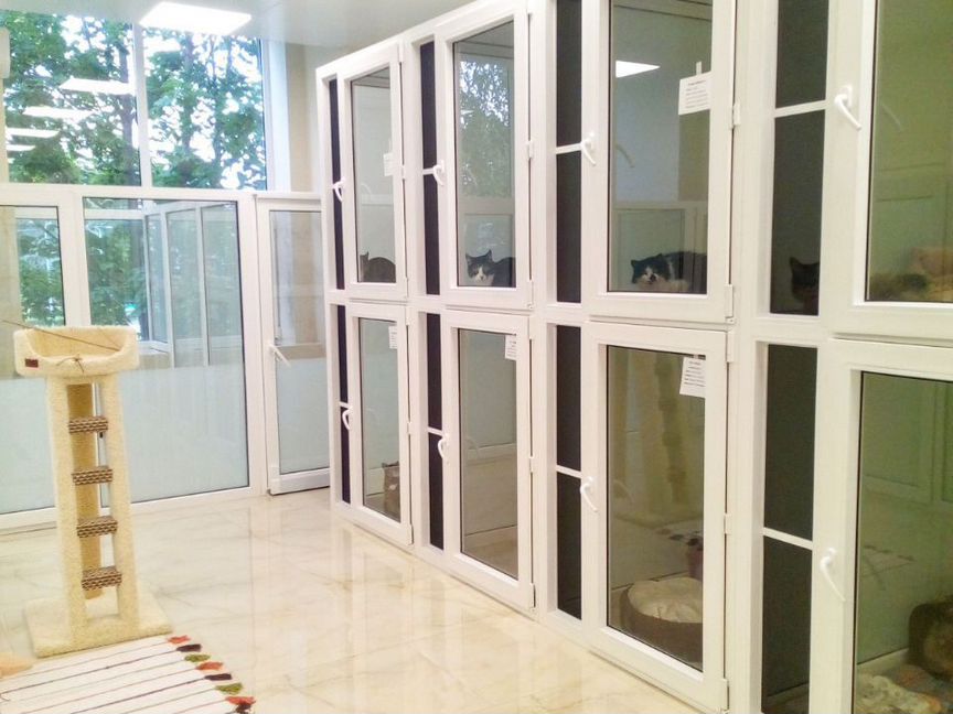 Вольеры и боксы для животных