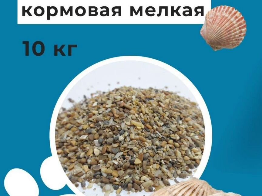 Морская ракушка кормовая мелкая