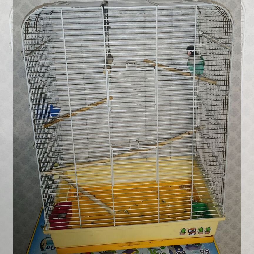 Клетка для попугая большая