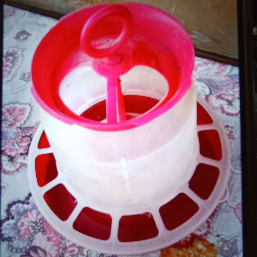 Кормушка для куриц и других пернатых