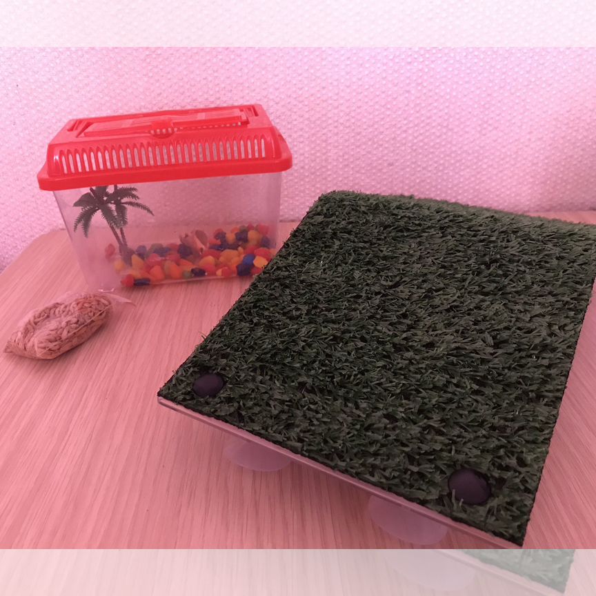 Переноска для черепах