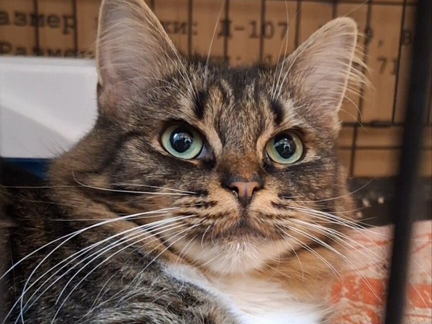 Никто не любит