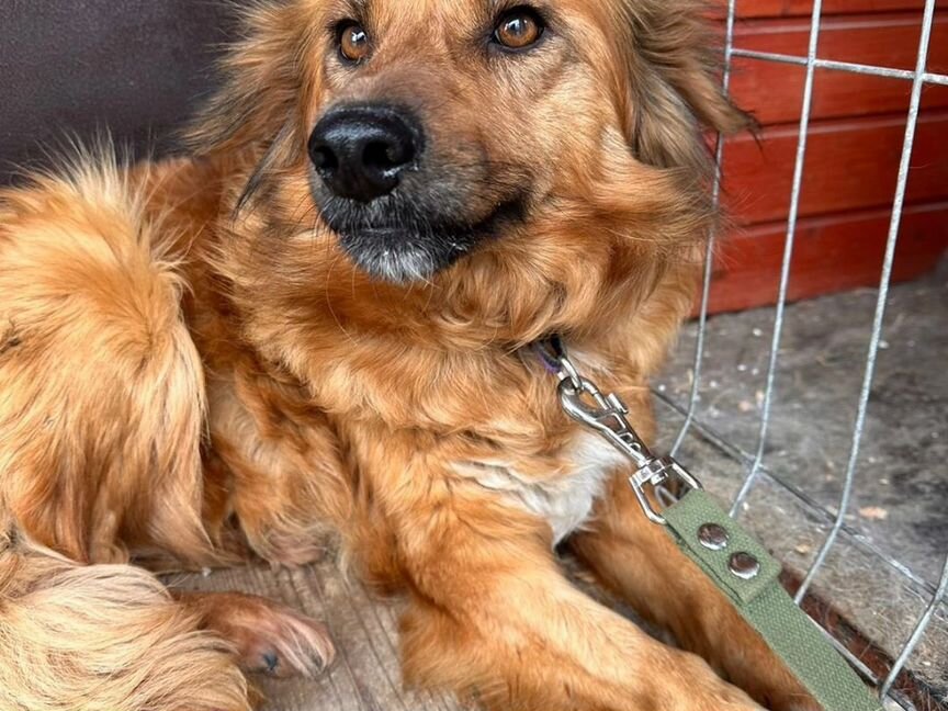 Мэй