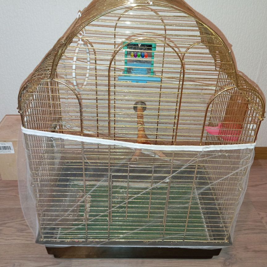 Клетка