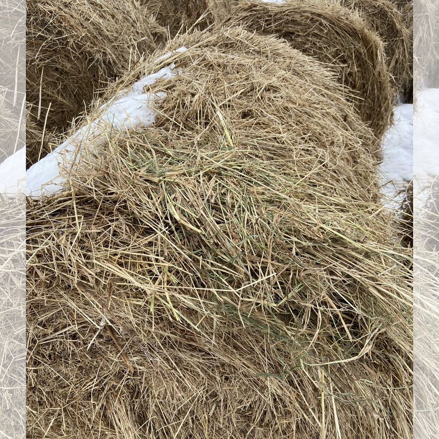 Сено солома