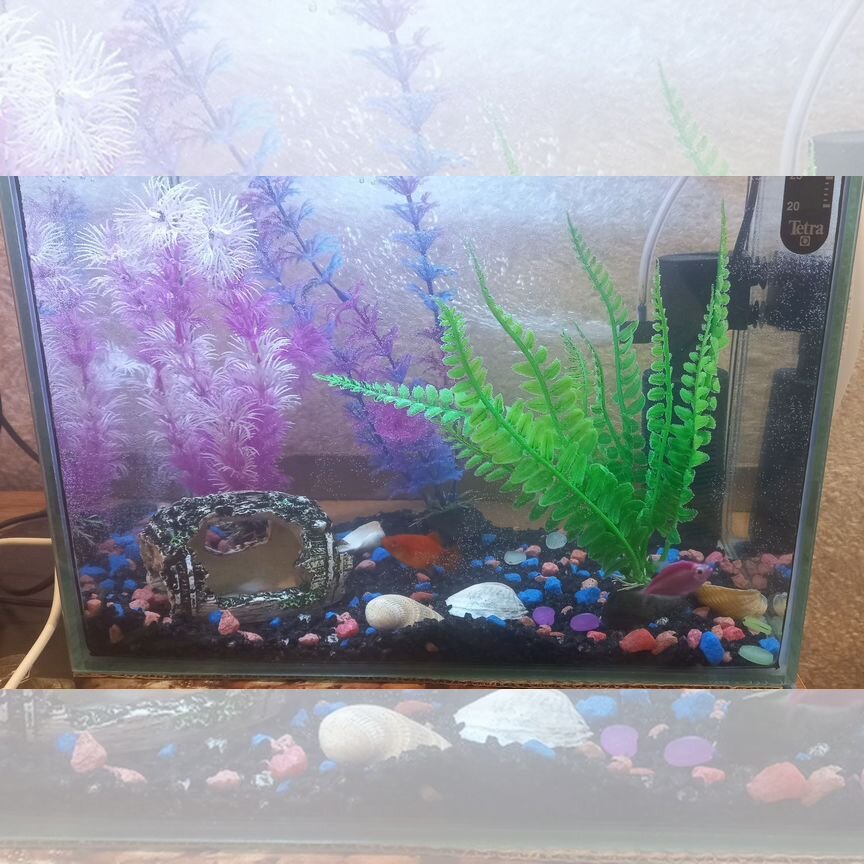 Аквариум с рыбками