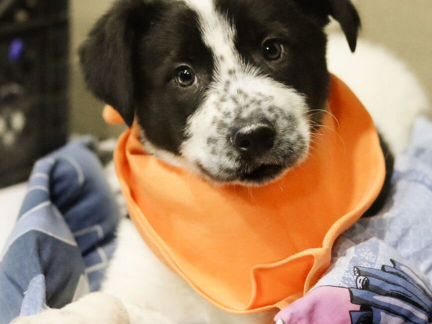 Классный малыш мальчик